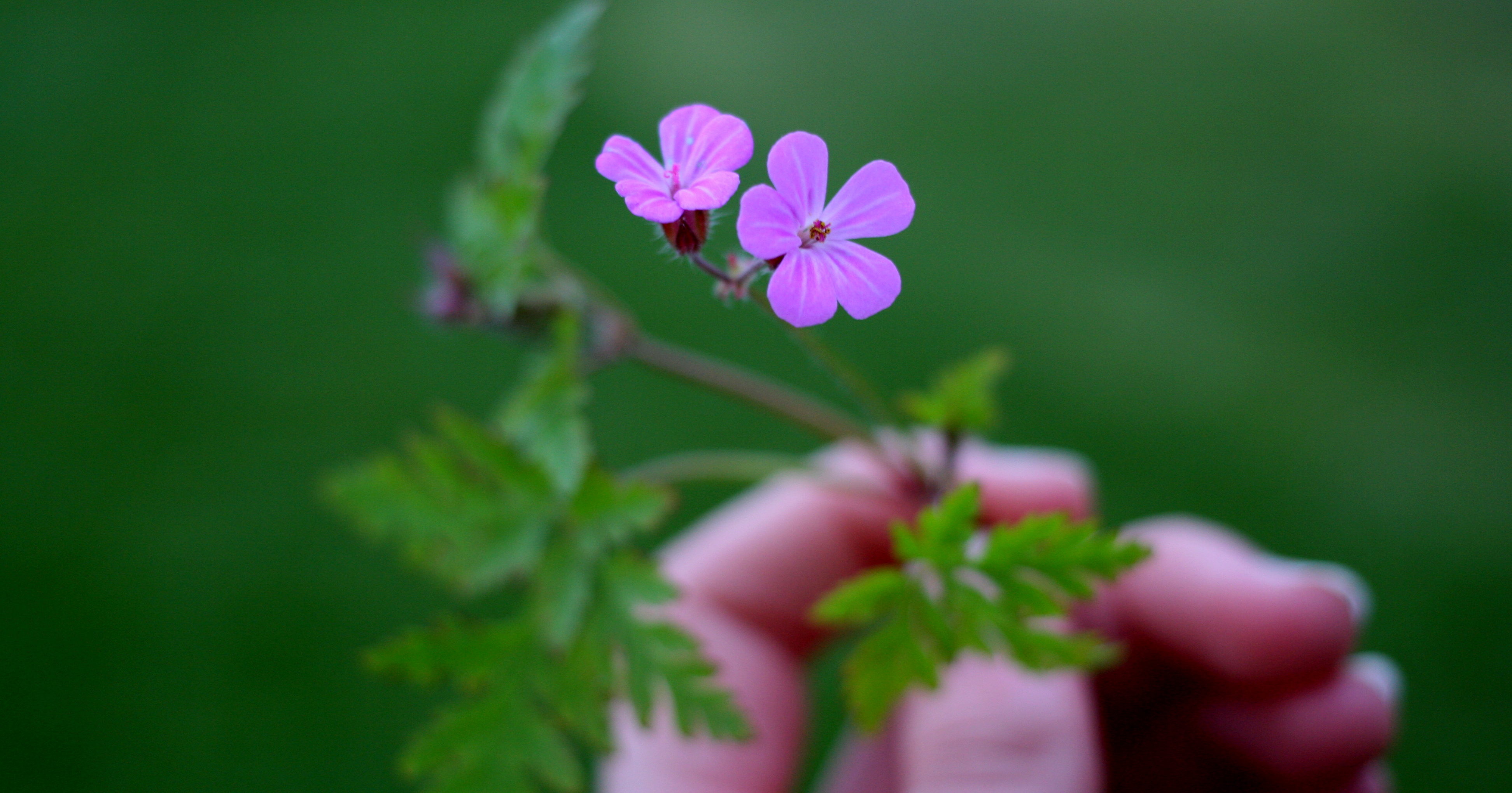 9 Reasons to Join Worldly Photos — Worldly Photos