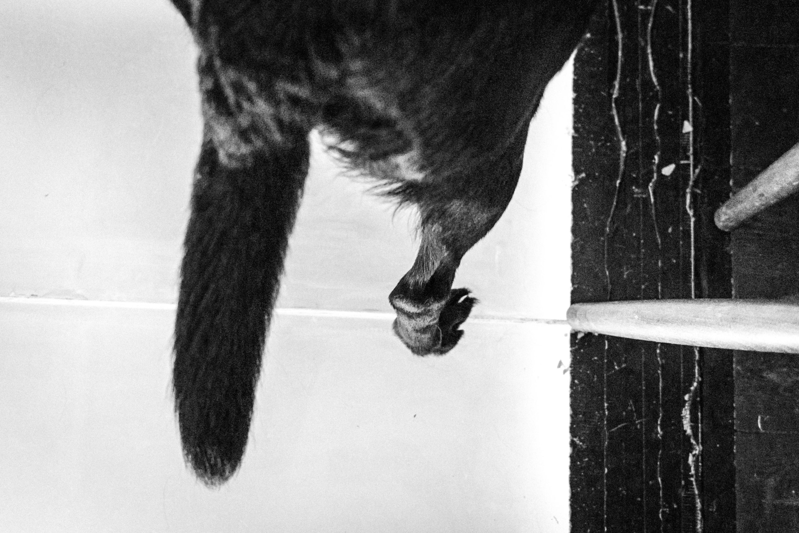 permanent closure. — Worldly Photos