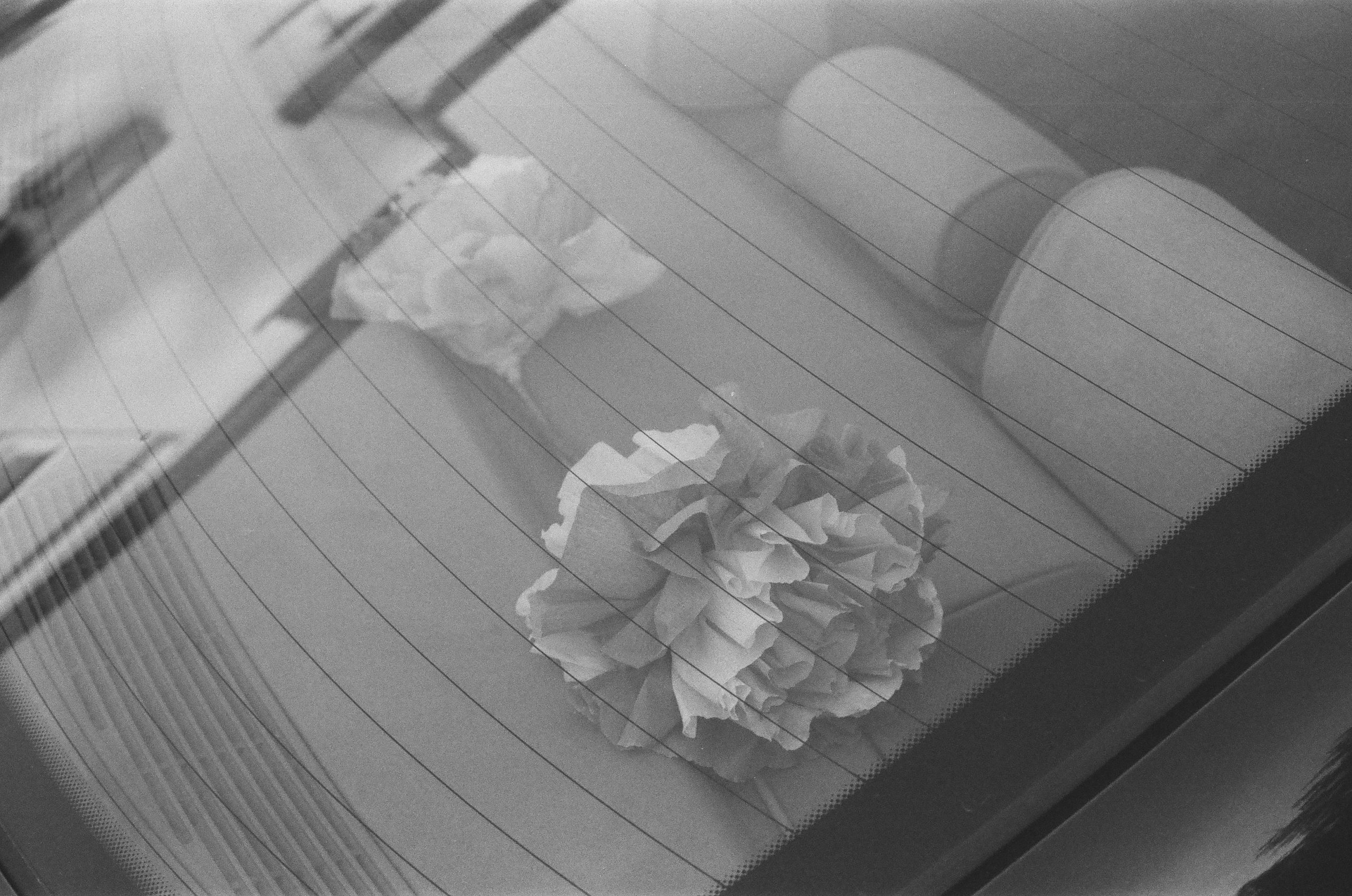 nineteen ninety-two. — Worldly Photos